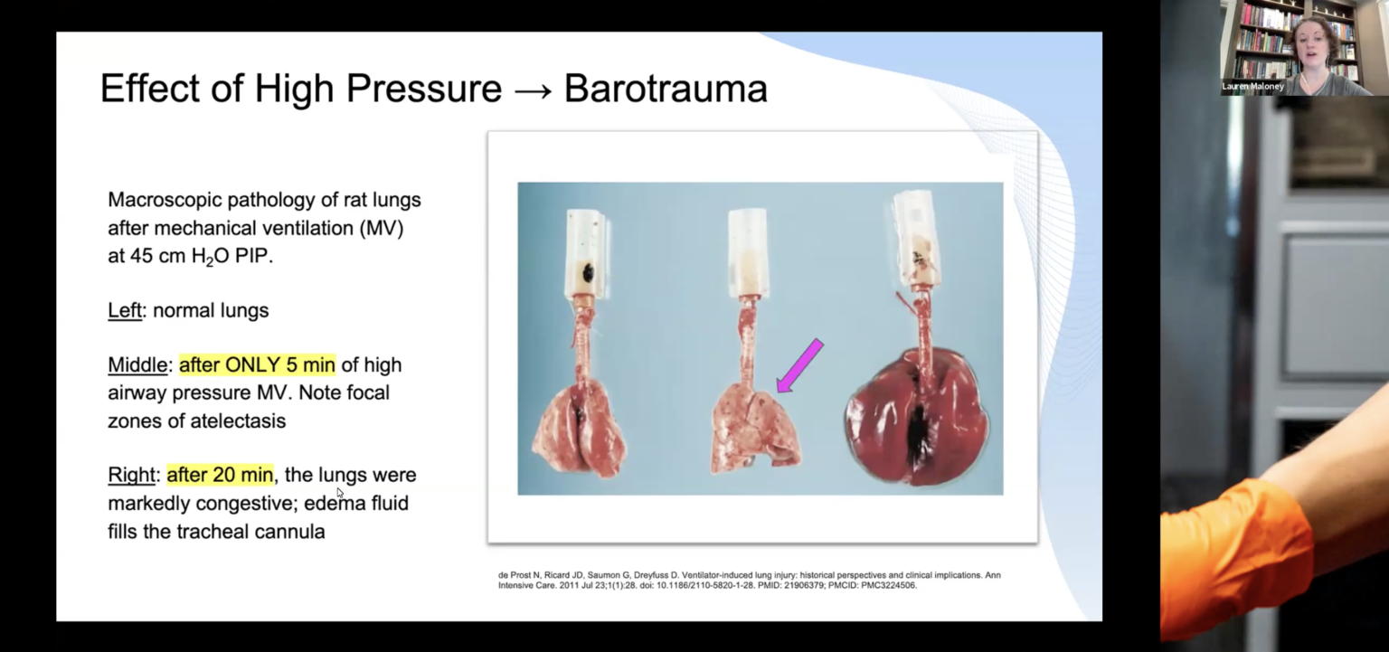 SafeBVM Manual Ventilation Workshop Earns CAPCE Accreditation, Featured ...
